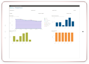 Analytics & Reporting – First Advantage APAC